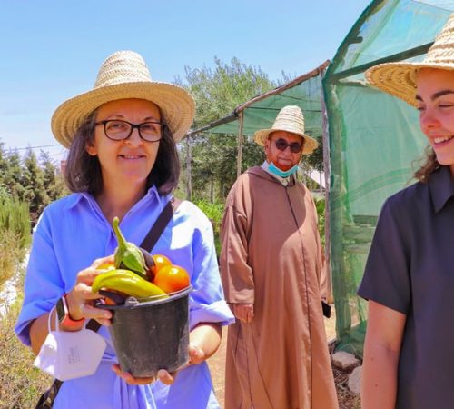 Moroccan Biodiversity & Livelihoods Association – (MBLA)