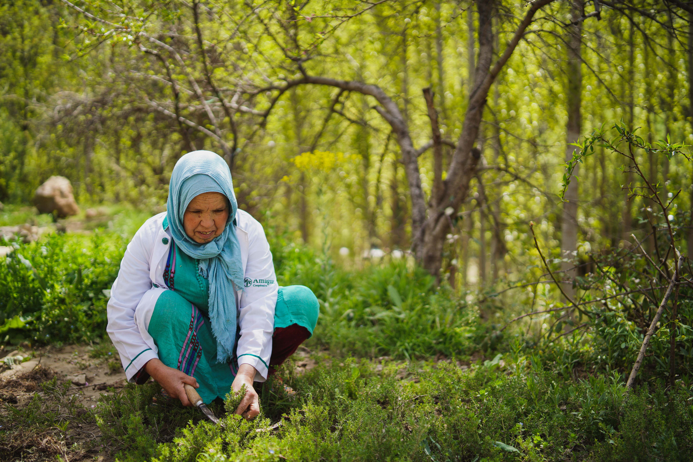 Moroccan Biodiversity & Livelihoods Association